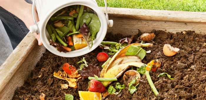 Compostagem: entenda como esse processo natural acontece | Plac